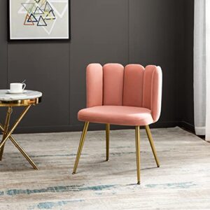 HULALA HOME Velvet Accent Chairs Modern Vanity Chairs for Makeup Room, Comfy Upholstered Dining Chairs for Living Room with Shell Back and Golden Metal Legs/Pink