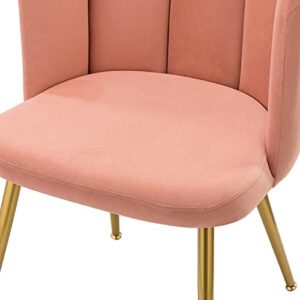 HULALA HOME Velvet Accent Chairs Modern Vanity Chairs for Makeup Room, Comfy Upholstered Dining Chairs for Living Room with Shell Back and Golden Metal Legs/Pink