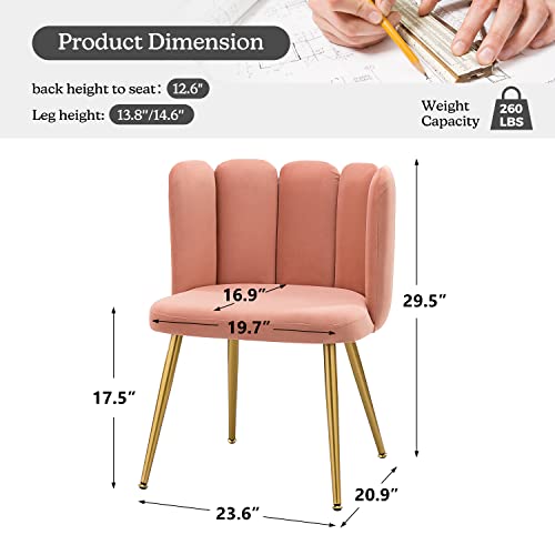 HULALA HOME Velvet Accent Chairs Modern Vanity Chairs for Makeup Room, Comfy Upholstered Dining Chairs for Living Room with Shell Back and Golden Metal Legs/Pink