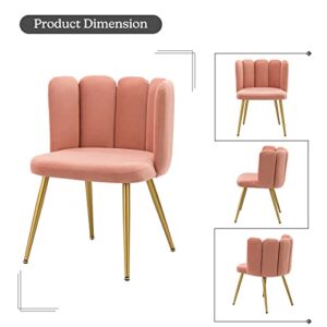 HULALA HOME Velvet Accent Chairs Modern Vanity Chairs for Makeup Room, Comfy Upholstered Dining Chairs for Living Room with Shell Back and Golden Metal Legs/Pink