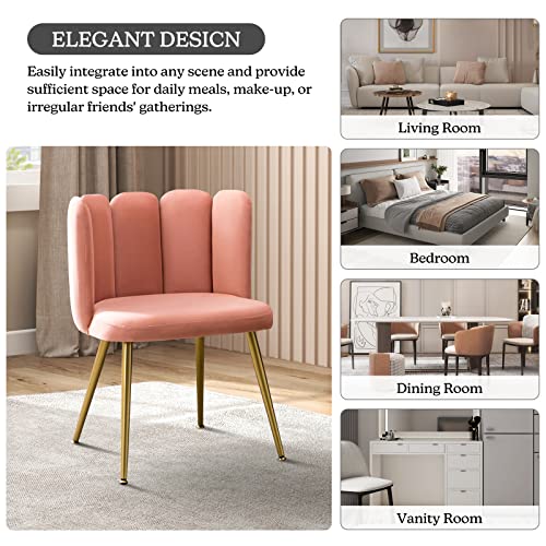 HULALA HOME Velvet Accent Chairs Modern Vanity Chairs for Makeup Room, Comfy Upholstered Dining Chairs for Living Room with Shell Back and Golden Metal Legs/Pink