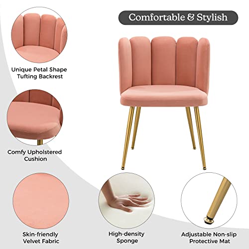 HULALA HOME Velvet Accent Chairs Modern Vanity Chairs for Makeup Room, Comfy Upholstered Dining Chairs for Living Room with Shell Back and Golden Metal Legs/Pink