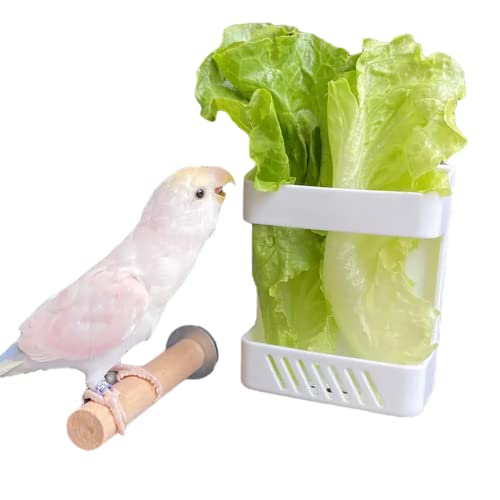 Bird Parrot Feeder with Stand Perch Cage Fruit Vegetable Holder Vegetable Rack Pet Food Hanging Baskets Parrot Fruit Hanging Containers Cage Hanging Basket Container