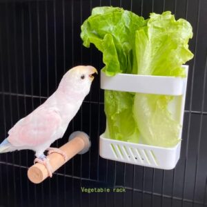 Bird Parrot Feeder with Stand Perch Cage Fruit Vegetable Holder Vegetable Rack Pet Food Hanging Baskets Parrot Fruit Hanging Containers Cage Hanging Basket Container