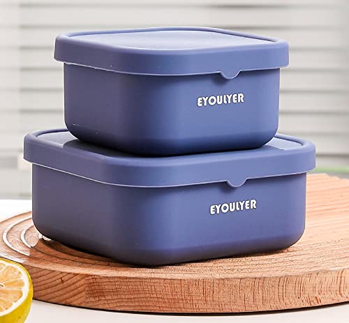 Eyoulyer Silicone Bento Box with Lid Food Storage Durable Bowl Mixing Serving Eating Non-Slip Easy Grip Indoor Outdoor Travel To-Go Food Containers Set2 Canister (BLUE-SQUARE)