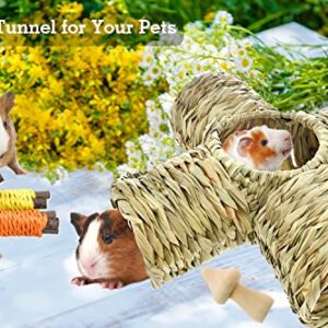 Vehomy Guinea Pig Grass Tunnel Toy Hamster Natural Hideaway Tunnel Tubes and 9Pcs Small Pet Chewing Toys Small Animal Grass House with 5 Entrances for Guinea Pig Syrian Hamster Chinchillas Gerbils