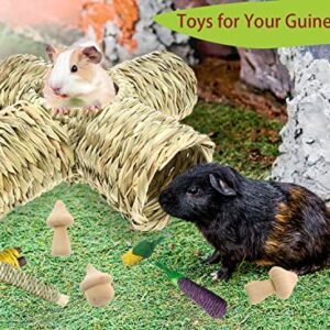 Vehomy Guinea Pig Grass Tunnel Toy Hamster Natural Hideaway Tunnel Tubes and 9Pcs Small Pet Chewing Toys Small Animal Grass House with 5 Entrances for Guinea Pig Syrian Hamster Chinchillas Gerbils