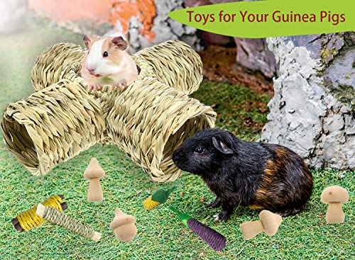 Vehomy Guinea Pig Grass Tunnel Toy Hamster Natural Hideaway Tunnel Tubes and 9Pcs Small Pet Chewing Toys Small Animal Grass House with 5 Entrances for Guinea Pig Syrian Hamster Chinchillas Gerbils