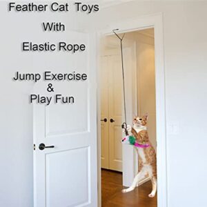 Alibuy Interactive Cat Toys,Hanging Cat Toy Kits 10Pcs Cat Feather Toys Hanging Door Retractable Ropes,Upgraded Mouse Toys Set Kitten Play Teaser for Cat Jump Exercise (10Pcs)