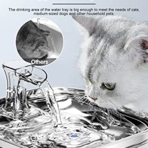 Cat Water Fountain, 68oz/2L 304 Stainless Steel Cats Fountain Water Bowl, Quiet Electric Automatic Pet Water Dispenser with 3 Filters, Pet Drinking Fountains for Cats, Small Dog, Multiple Pets