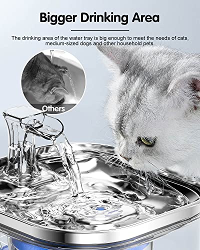 Cat Water Fountain, 68oz/2L 304 Stainless Steel Cats Fountain Water Bowl, Quiet Electric Automatic Pet Water Dispenser with 3 Filters, Pet Drinking Fountains for Cats, Small Dog, Multiple Pets