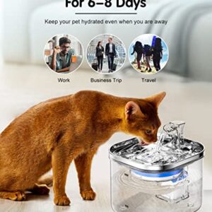 Cat Water Fountain, 68oz/2L 304 Stainless Steel Cats Fountain Water Bowl, Quiet Electric Automatic Pet Water Dispenser with 3 Filters, Pet Drinking Fountains for Cats, Small Dog, Multiple Pets