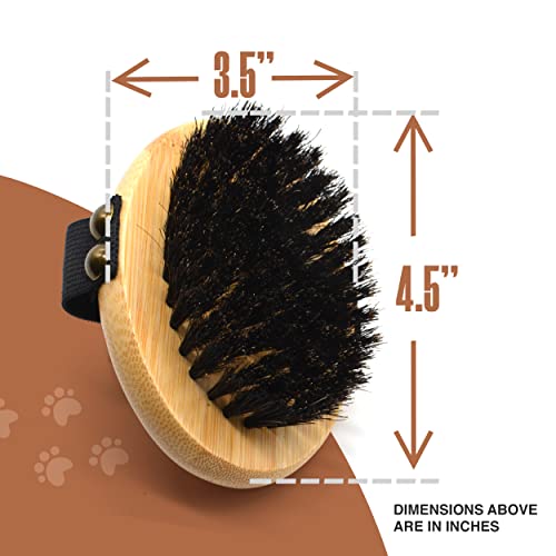 The Buddy System Pet Close Brush, Soft Touch Oval Palm Brush - Bamboo Massage Handheld with Soft Boar Bristles and Elastic Band for Dogs and Cats