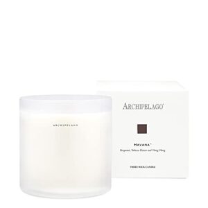 archipelago botanicals havana xl 3-wick candle | bergamot, tobacco flower and ylang ylang | premium wax blend | burns approx. 165 hours (58 oz)