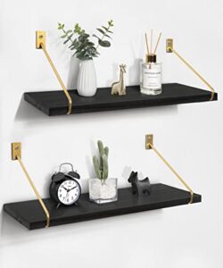 gronda black floating shelves set of 2, black gold wall shelves minimalist modern wall decor wooden bookshelves trophy display storage plants floating shelves wall mount living room bedroom bathroom