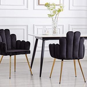 Lei Yu Shunzhi Modern Velvet Dining Chairs Set of 2 Upholstered Leisure Gold Legs Arm Chairs Guest Chairs Skin-Friendly Side Chairs Comfy Vanity Chair for Makeup Room/Bedroom/Living Room, Black, 2PCS