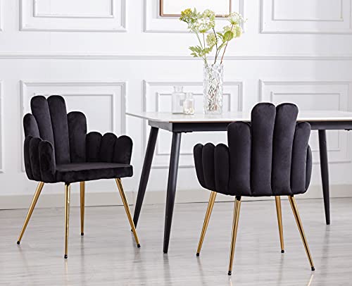 Lei Yu Shunzhi Modern Velvet Dining Chairs Set of 2 Upholstered Leisure Gold Legs Arm Chairs Guest Chairs Skin-Friendly Side Chairs Comfy Vanity Chair for Makeup Room/Bedroom/Living Room, Black, 2PCS