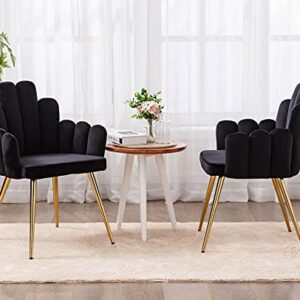 Lei Yu Shunzhi Modern Velvet Dining Chairs Set of 2 Upholstered Leisure Gold Legs Arm Chairs Guest Chairs Skin-Friendly Side Chairs Comfy Vanity Chair for Makeup Room/Bedroom/Living Room, Black, 2PCS