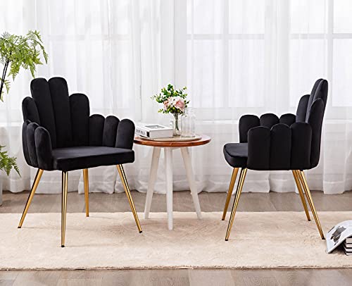 Lei Yu Shunzhi Modern Velvet Dining Chairs Set of 2 Upholstered Leisure Gold Legs Arm Chairs Guest Chairs Skin-Friendly Side Chairs Comfy Vanity Chair for Makeup Room/Bedroom/Living Room, Black, 2PCS