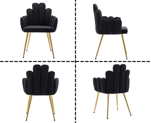 Lei Yu Shunzhi Modern Velvet Dining Chairs Set of 2 Upholstered Leisure Gold Legs Arm Chairs Guest Chairs Skin-Friendly Side Chairs Comfy Vanity Chair for Makeup Room/Bedroom/Living Room, Black, 2PCS