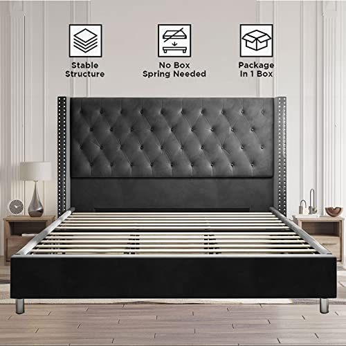 Jocisland King Bed Frame Upholstered Bed Wingback Headboard Velvet Tufted Diamond Button/No Box Spring Needed/Easy Assembly/Dark Gray