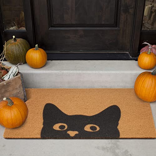 UINI Door Mat Outdoor Indoor Welcome Mats, Cute Cat Front Doormat, Non Slip Durable Entrance Rugs for Front Door, Inside Outside Entry, Porch, Resist Dirt, 17" x 30", Easy to Clean