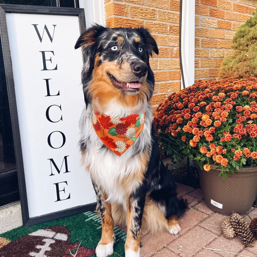 2 Pack Fall Dog Bandanas Thanksgiving Bandanas for Cat Triangle Medium Large Dog Scarf Pets Bibs