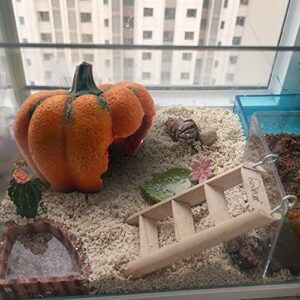 BNOSDM Reptile Hideouts Pumpkin House Resin Aquarium Decorations Chameleons Hideout Hut Habitat for Turtles Lizards Gecko Spider Chameleons