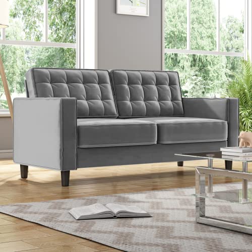 BALUS 63" W Velvet Loveseat Sofa, Mid-Century Modern Loveseats Couch Furniture for Living Room, Upholstered Love Seats 2-Seater Living Room, Bedroom, Apartment and Small Space (Grey)