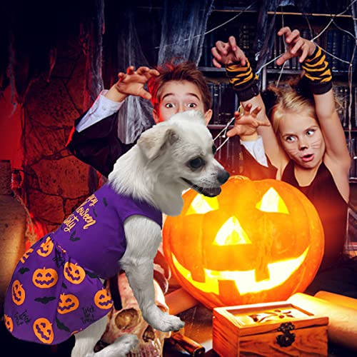 Dog Halloween Witch Dresses Costumes Puppy Skirts Apparel for Funny Pumpkin Head/Bat Party Dress Cosplay Halloween Costume for Small Medium Dogs Cats (Medium, Purple)