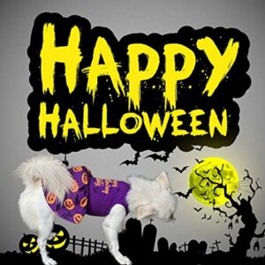 Dog Halloween Witch Dresses Costumes Puppy Skirts Apparel for Funny Pumpkin Head/Bat Party Dress Cosplay Halloween Costume for Small Medium Dogs Cats (Medium, Purple)