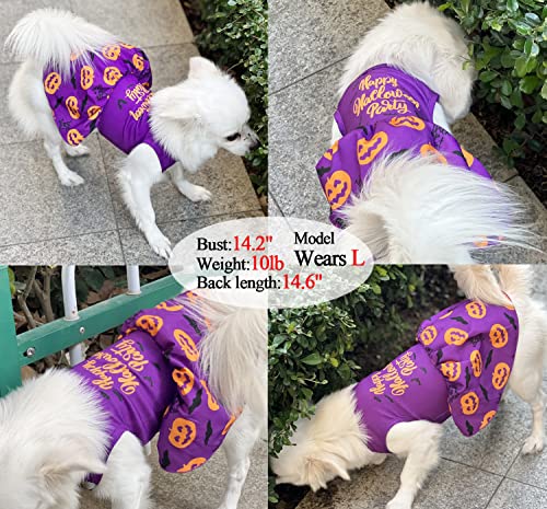 Dog Halloween Witch Dresses Costumes Puppy Skirts Apparel for Funny Pumpkin Head/Bat Party Dress Cosplay Halloween Costume for Small Medium Dogs Cats (Medium, Purple)