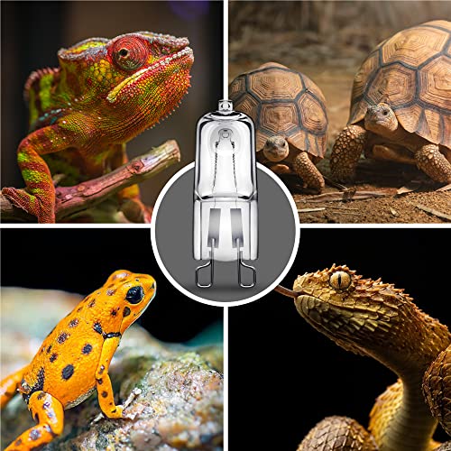 Briignite G9 Heat Lamp Bulbs for Reptile, Mini Reptile Light, Dimmable G9 Mini Heat Bulb Warm White 50W, 2 Pin Base UVA Reptile Heat Lamp, Bearded Dragon Gecko Turtle Lizard, 2 Pack