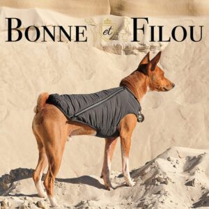 Bonne et Filou Sustainable Dog Jacket Vest Made in Ukraine with Premium Recycled Materials - Lightweight Warm Waterproof Windproof Winter Dog Coat Outfit for Cold Weather (X-Small-2, Grey)