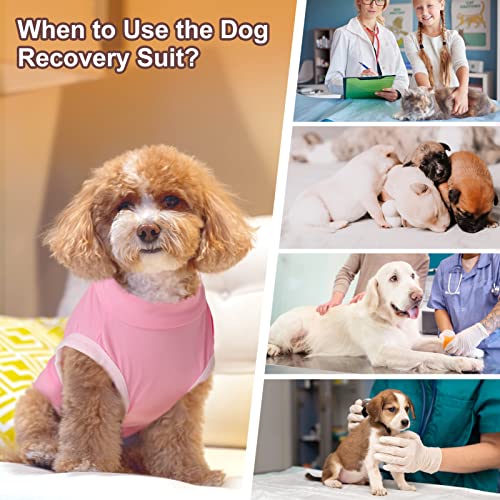 SAWMONG 2 Pack Recovery Suit for Dogs After Surgery, Dog Recovery Suit Dog Spay Surgical Suit for Female Dogs, Dog Onesie Body Suit for Surgery Male Substitute Dog E-Collar,M