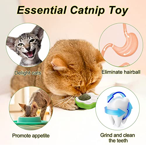 Havenfly Catnip Ball, Edible Catnip Balls for Cats Wall, Kitty Toys for Catnip Wall Ball, Rotatable Mint Ball Kitten Chew Treats for Teeth Cleaning Biting Dental Care