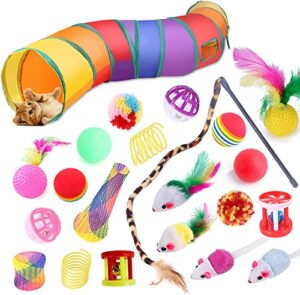 22pcs cat toys, kitten toy with collapsible rainbow cat tunnel, cat toys for indoor cats, interactive cat toy set include crinkle ball, variety jingle bells, spring toy, mouse toys for cats, kitty