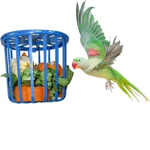 Bird Feeder, Parrot Bird Cage Hanging Food Fruits Basket, Parrot Fruit Vegetable Holder, Foraging Toys Hot for Parrot Budgies Eclectus Parrot, Black Headed Caique Cheeks Macaw, Lovebird