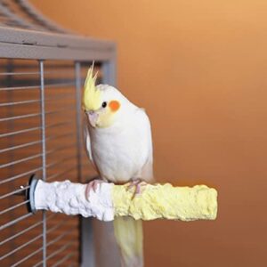 Bird Perches for Parrots-Cuttlebone Calcium Perch Standing Cuttlebone Holder for Birds Cage Accessories Color Randomly (Medium)