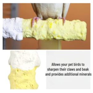 Bird Perches for Parrots-Cuttlebone Calcium Perch Standing Cuttlebone Holder for Birds Cage Accessories Color Randomly (Medium)