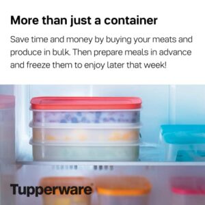 Tupperware Brand Freezer Mates Plus Stackables Set - Includes 1 Lid & 3 Food Storage Containers - Airtight, Dishwasher Safe & BPA Free