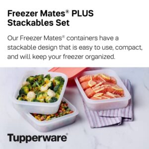 Tupperware Brand Freezer Mates Plus Stackables Set - Includes 1 Lid & 3 Food Storage Containers - Airtight, Dishwasher Safe & BPA Free