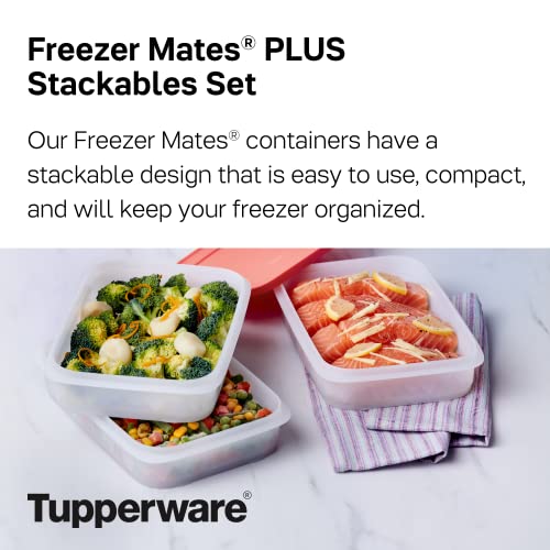 Tupperware Brand Freezer Mates Plus Stackables Set - Includes 1 Lid & 3 Food Storage Containers - Airtight, Dishwasher Safe & BPA Free