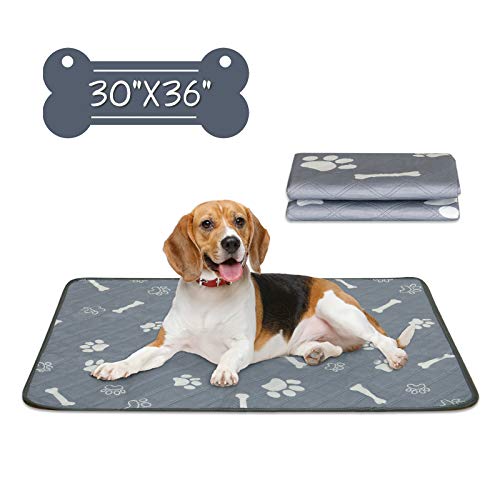 Washable Pee Pads for Dogs, Waterproof Reusable Puppy Pads, Super Absorbent Pet Whelping Pad for Training, Travel, Whelping, Large Leak-Proof Dog Pee Mats for Dog Cat Rabbit, 2 Pack