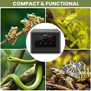 briidea Reptile Misting System, Terrarium Mister with 2 Power Supply Ways, Automatic Humidifiers with Adjustable Spray Nozzles for Reptiles Plants Amphibians Herps