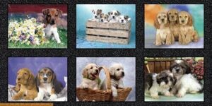 flashphoenix quality sewing fabric – puppy dog fabric somebody to love digital 100% cotton animal 21x44 panel