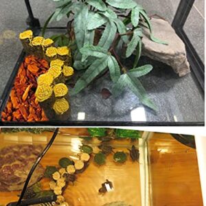 Woyrise Small Reptile Fence Decor Baby Turtle Basking Platform Climbing Ramp Shale Tortoise Dock Resting Terrace Rock Landscaping for Turtle Lizard Bearded Dragon Crested Gecko Snake-Tree Stump