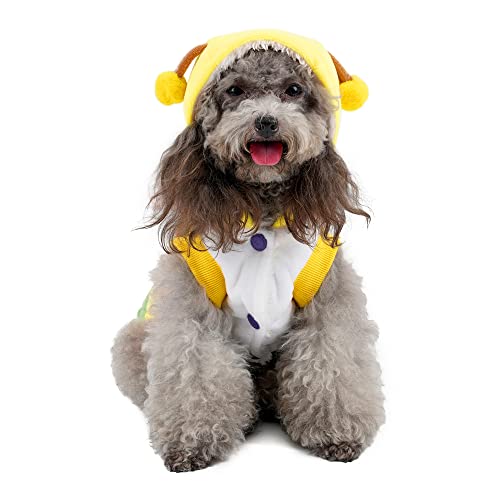 Filhome Pet Bee Dog Costume, Halloween Dog Hoodies Outfits Cute Cat Hooded Coat Warm Apparel Fall Winter Christmas Cosplay Clothes for Small Medium Pet(M/Multicolor)