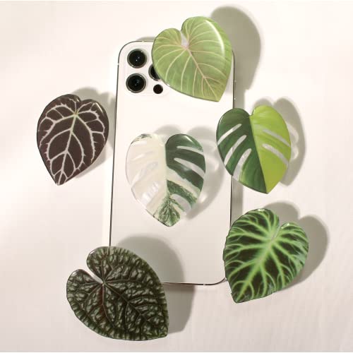 COMMONKUNST Tropical Rare Leaf Plant Multi Functional Collapsible Expandable Mobile Phone Grip & Kicktand (Albo Monstera)