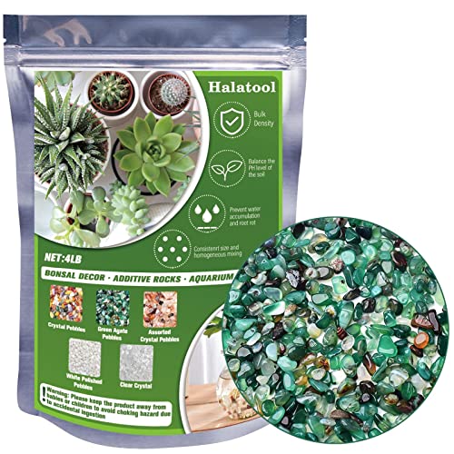 Halatool 4LB Green Pebbles 0.35"- 0.6" Natural Aquarium Gravel for Fish Tank Decorations Small Succulent Rocks for Indoor Outdoor Plants Landscaping Vase Filler